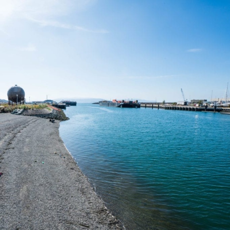 Waypoint Park: The Perfect Place to Start Your Waterfront Adventure in ...