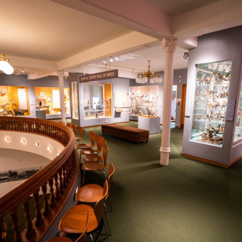 Downtown Bellingham —Visit Bellingham | Whatcom County