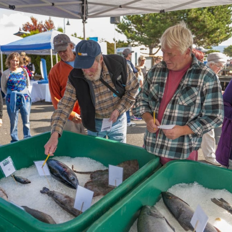 Annual Bellingham and Whatcom County Events